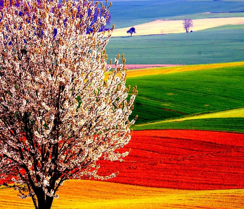 Ce personalitate ai, în funcţie de anotimpul în care te-ai născut